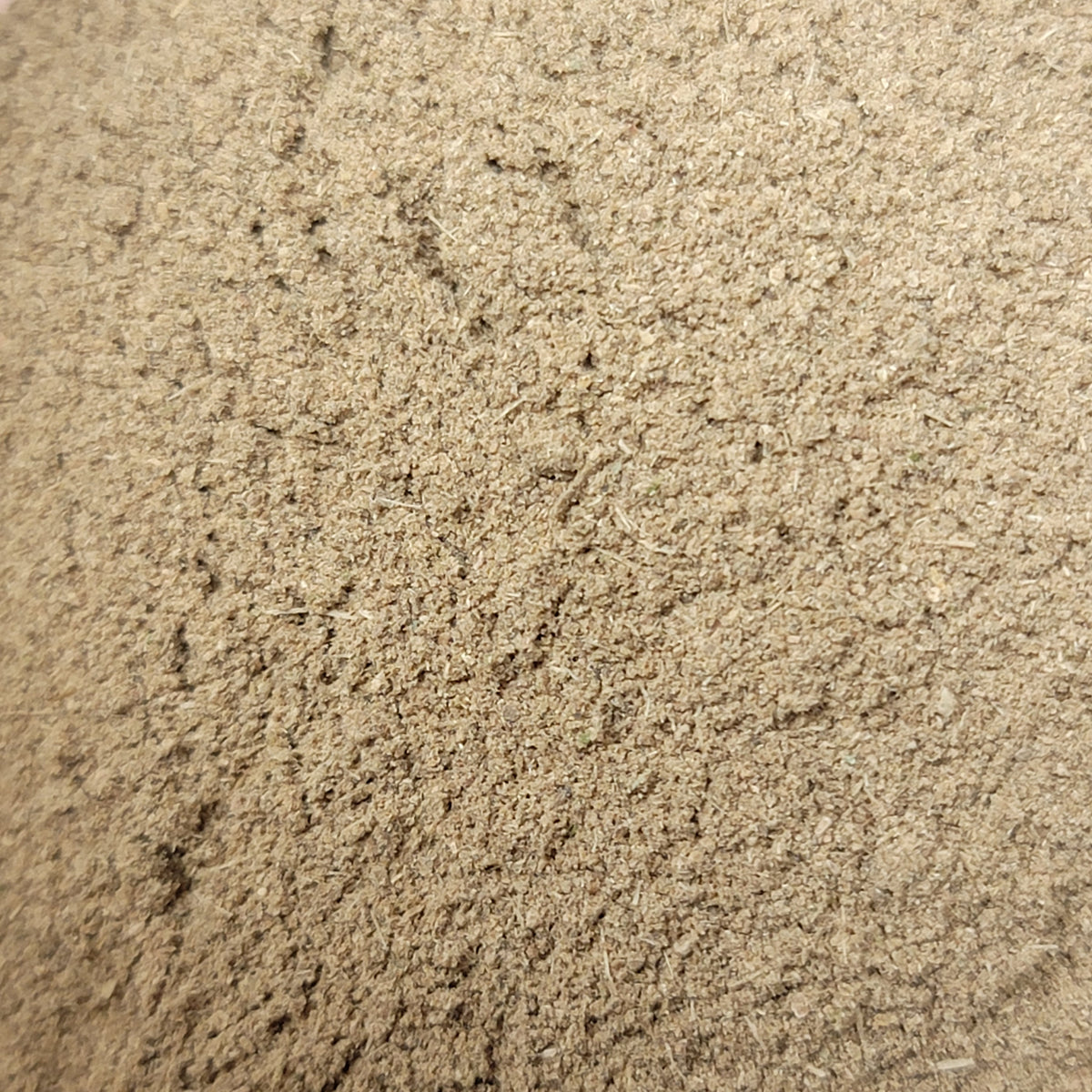 Witch Hazel Bark Powder – Sweetgrass Soapery